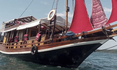 Komodo Island Tours, Flores Tour Package » Komodo Wisata